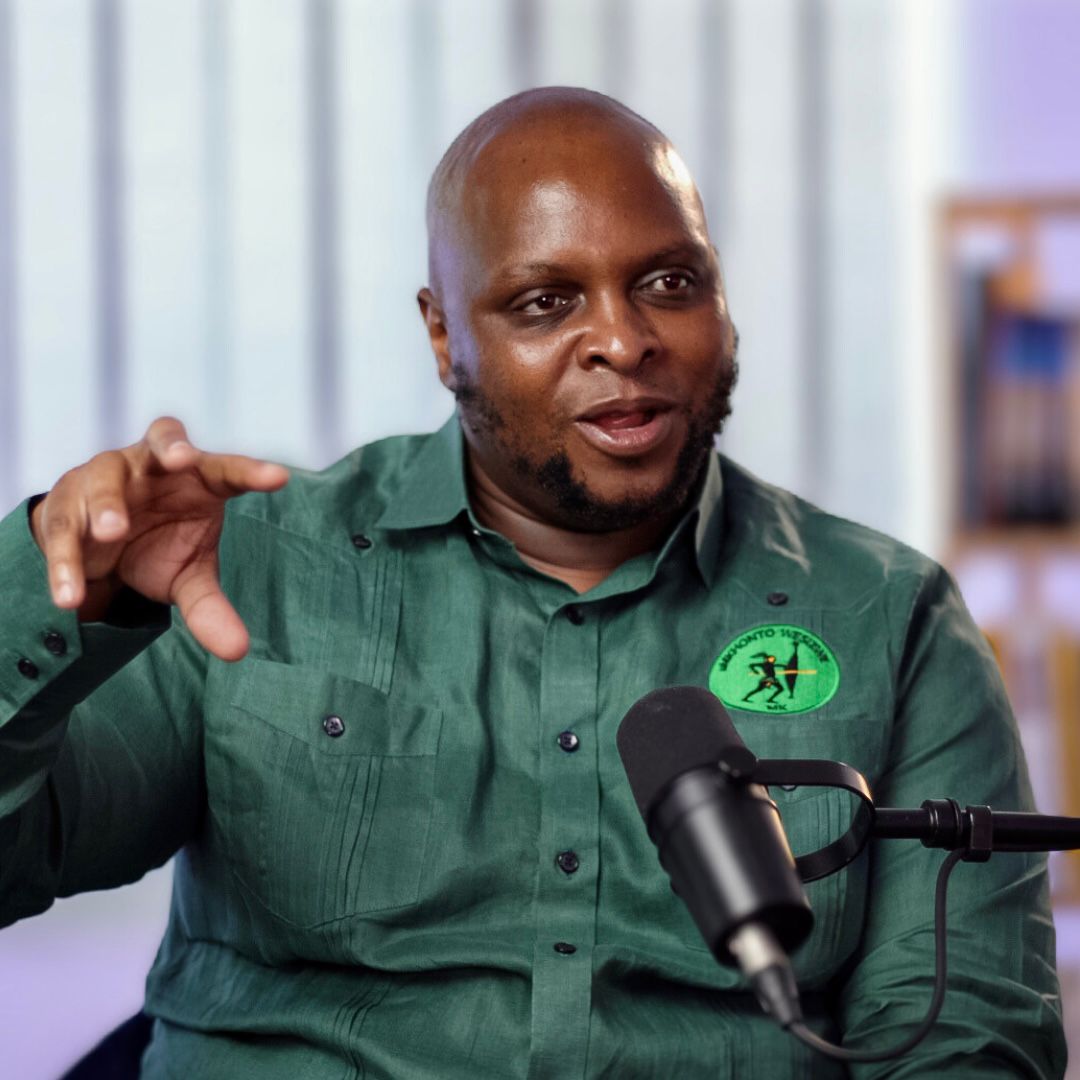 Shivambu enforces discipline as MK Party expels two high-profile ...