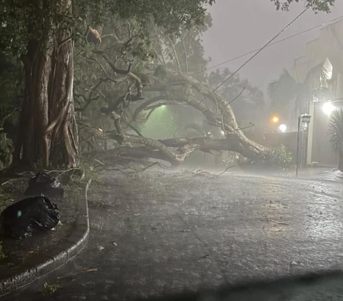WATCH: Overnight storms flood roads, fell trees across eThekwini ...